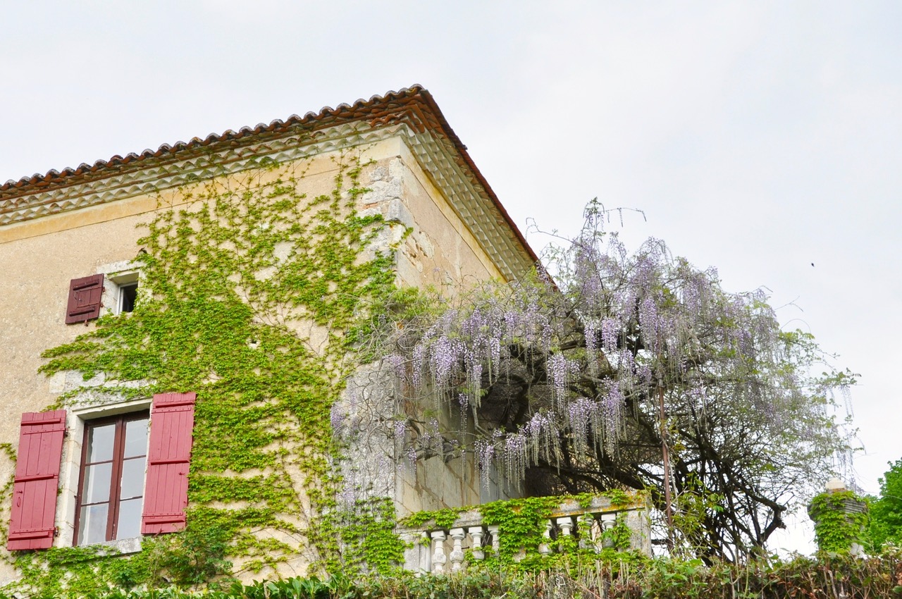 Südflügel – Manoir de Moncé